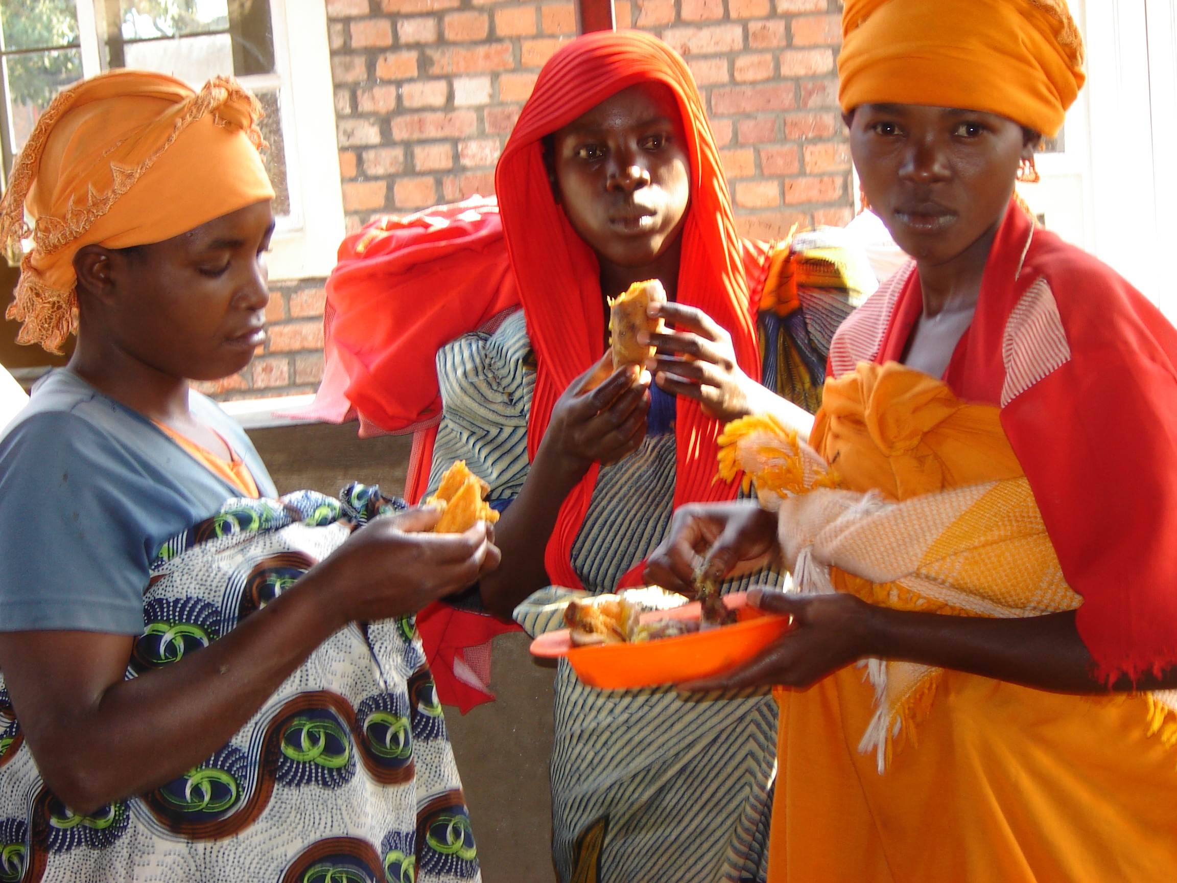 CGIAR and FAO Researchers Challenged to Address Global Malnutrition ...