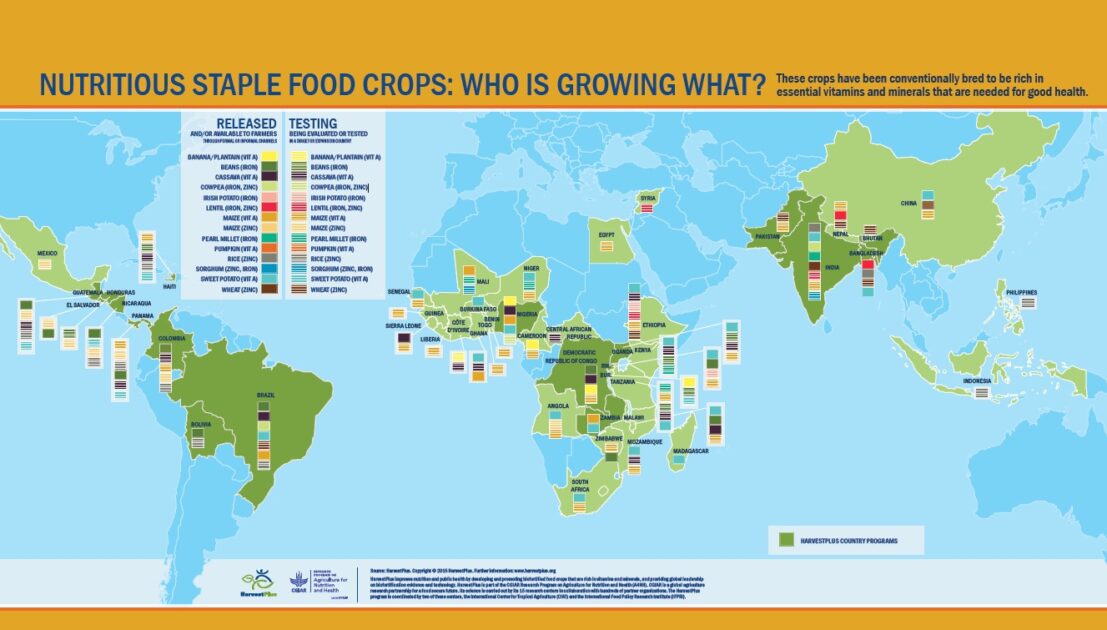 Updated Map Shows Biofortification’s Growing Global Reach - HarvestPlus