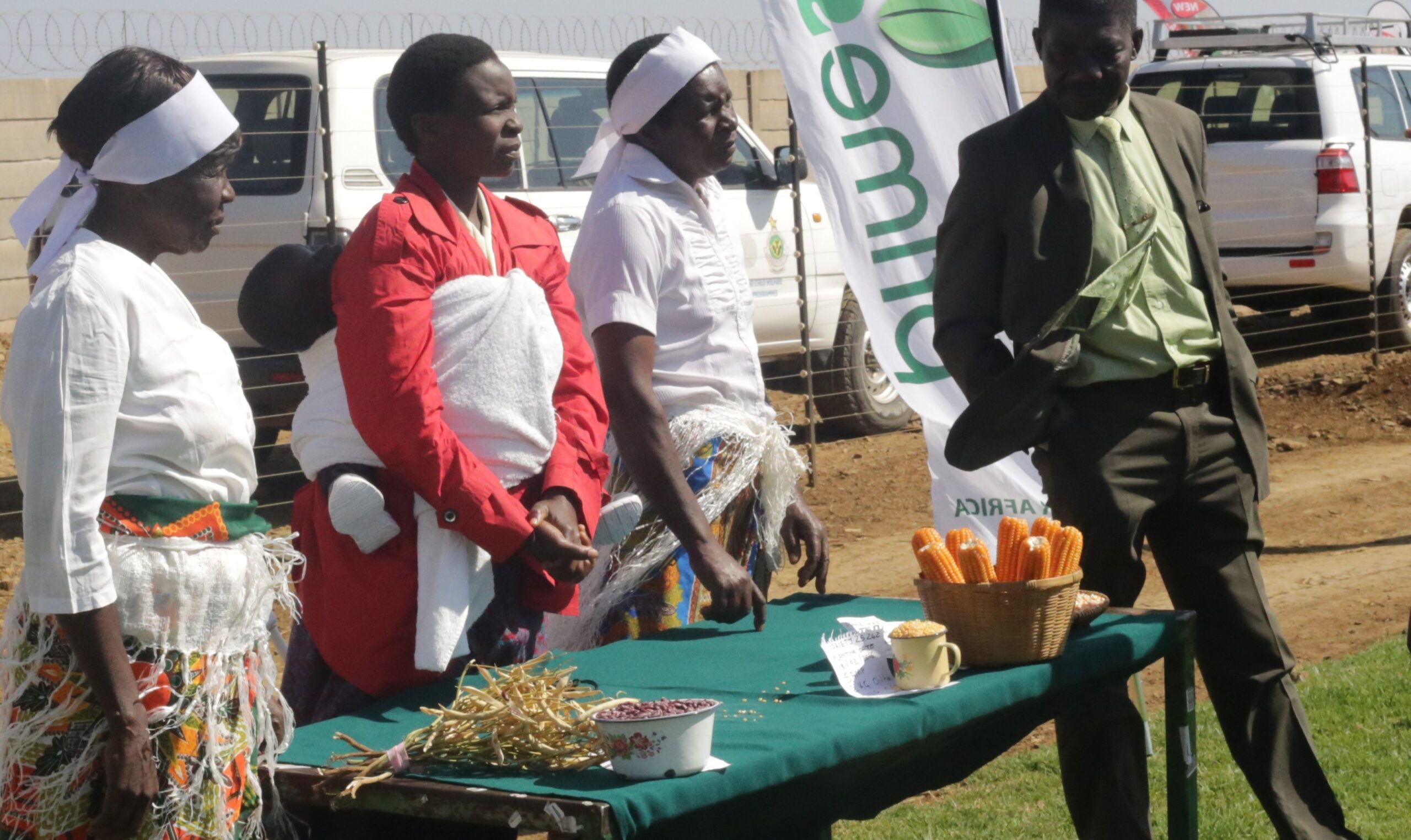 Seeds of Hope: Zimbabwe Adopts Nutritious Crops - HarvestPlus