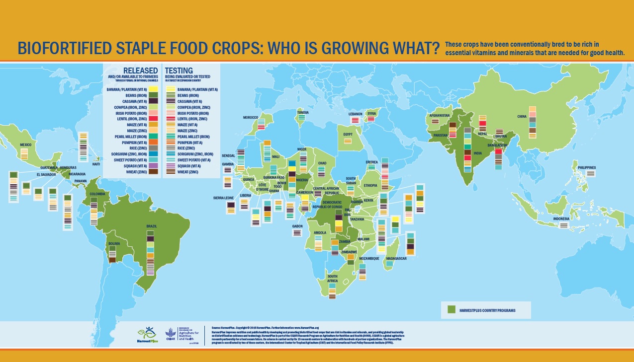Mapping the Global Reach of Biofortified Crops - HarvestPlus