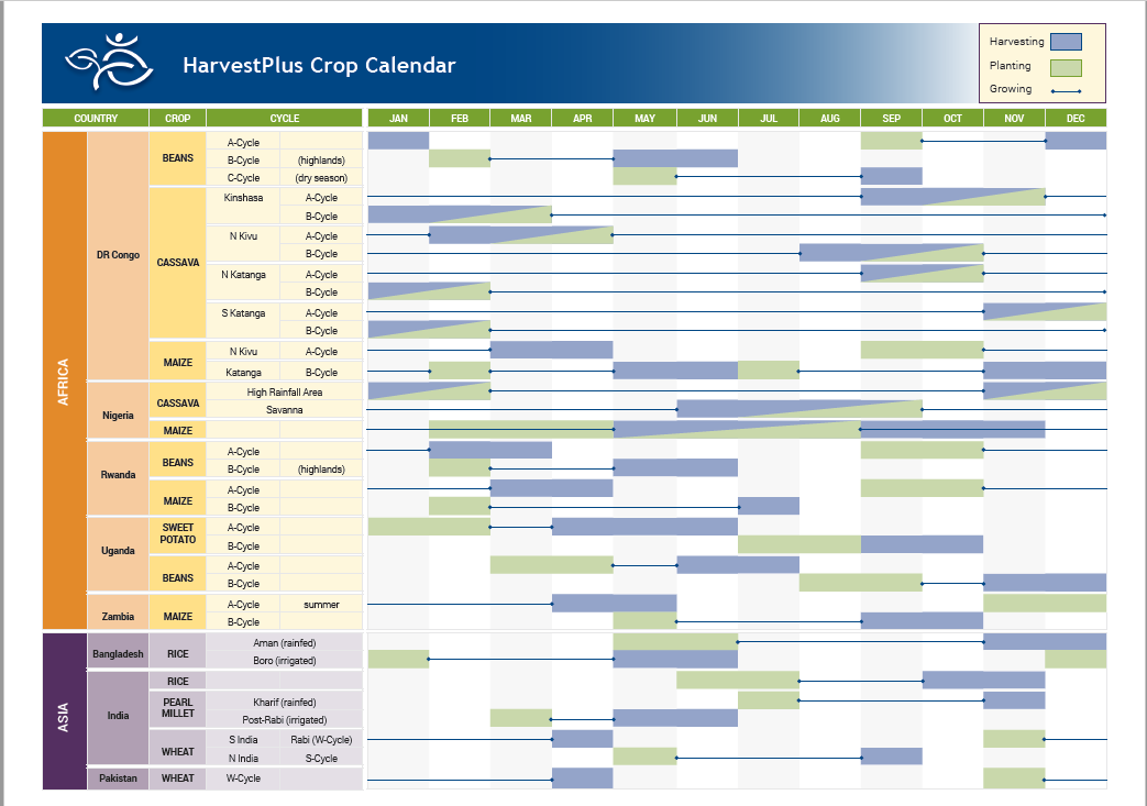 Useful New Resource for Stakeholders of Biofortified Crops - HarvestPlus