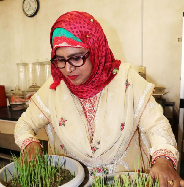 Nasrin Akter Ivy: From Small-Town Girl to Big League Scientist ...