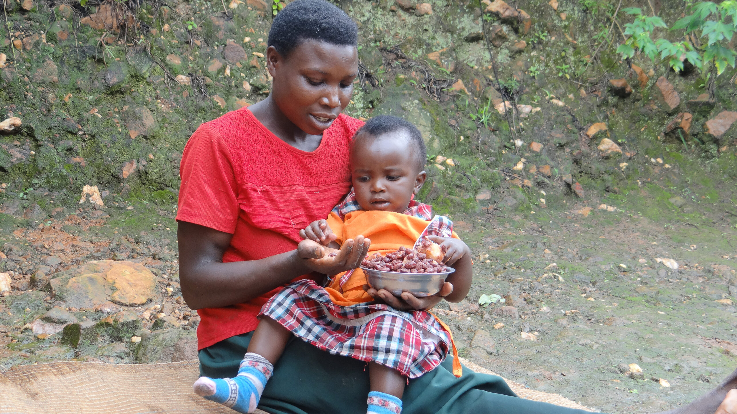 Biofortified Crops Enjoy Consumer Acceptance - HarvestPlus