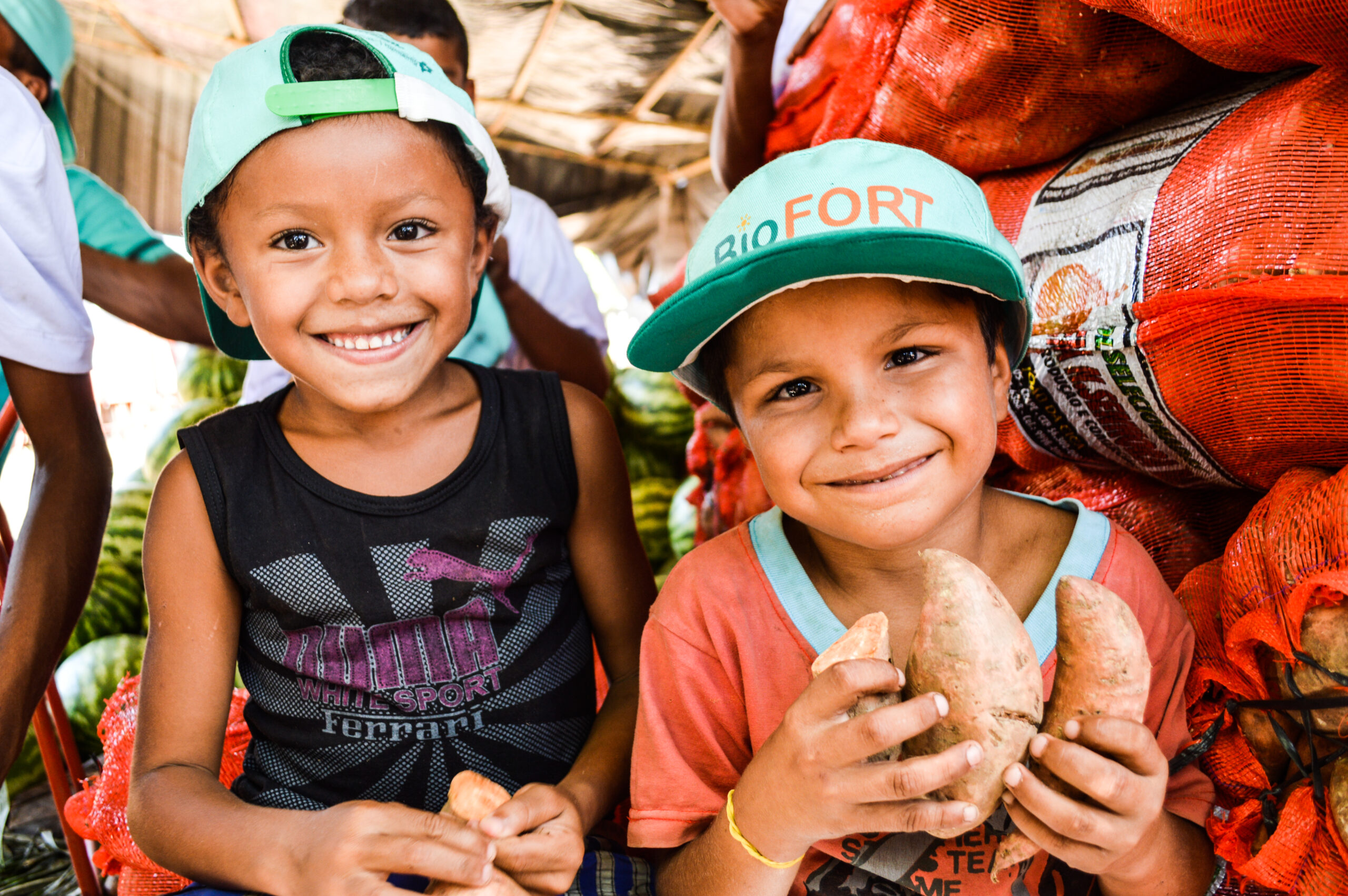 One of Brazil's Poorest States Commits to Biofortified Crops for Food ...