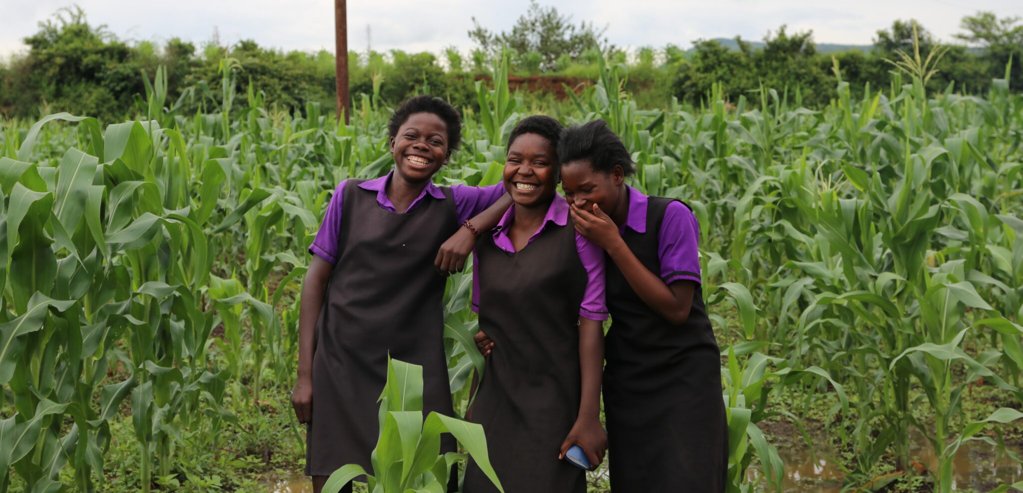 Schoolchildren in Zambia Embrace Nutritious Vitamin A Orange Maize ...