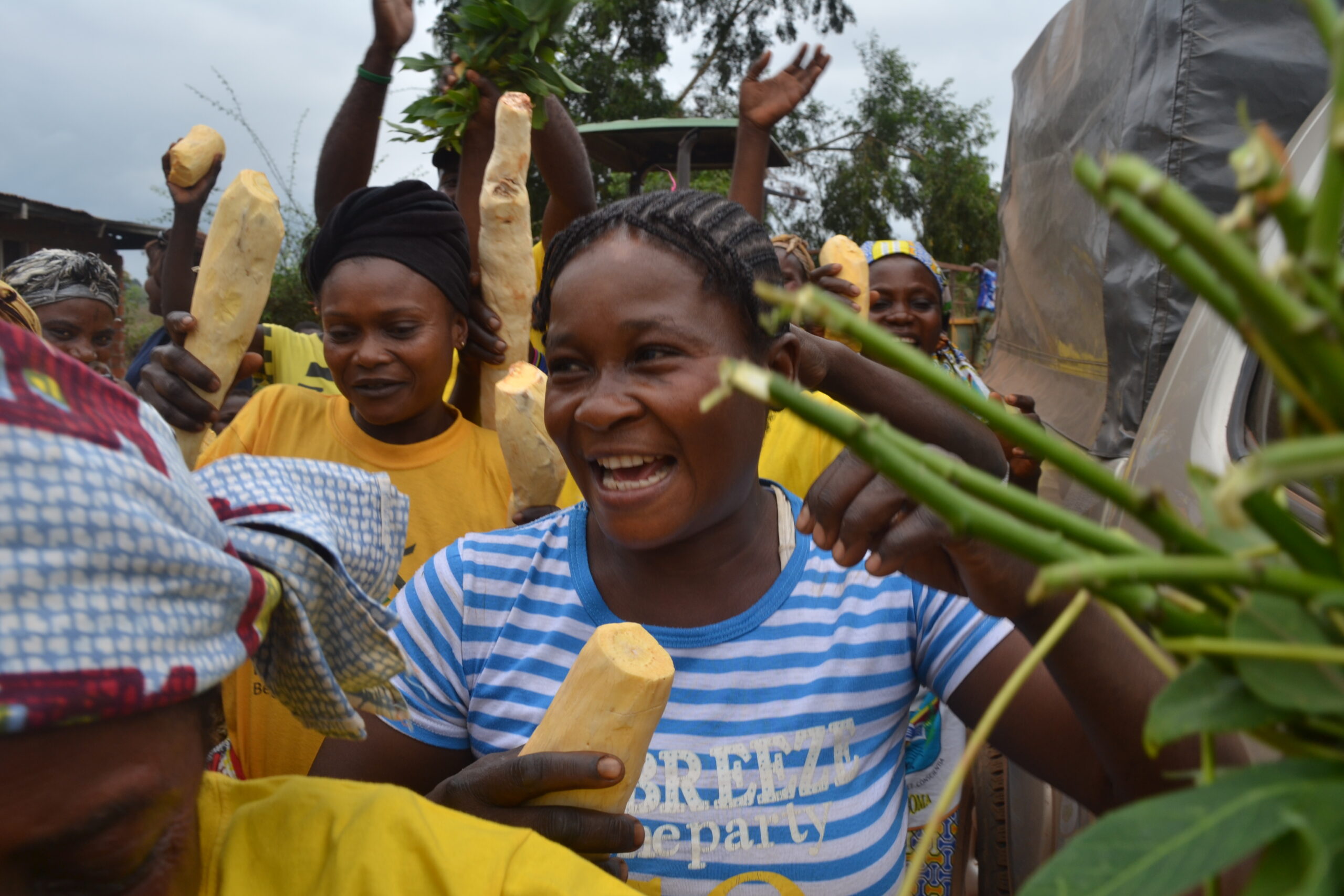 Innovatively Expanding the Reach and Impact of Vitamin A Cassava in ...