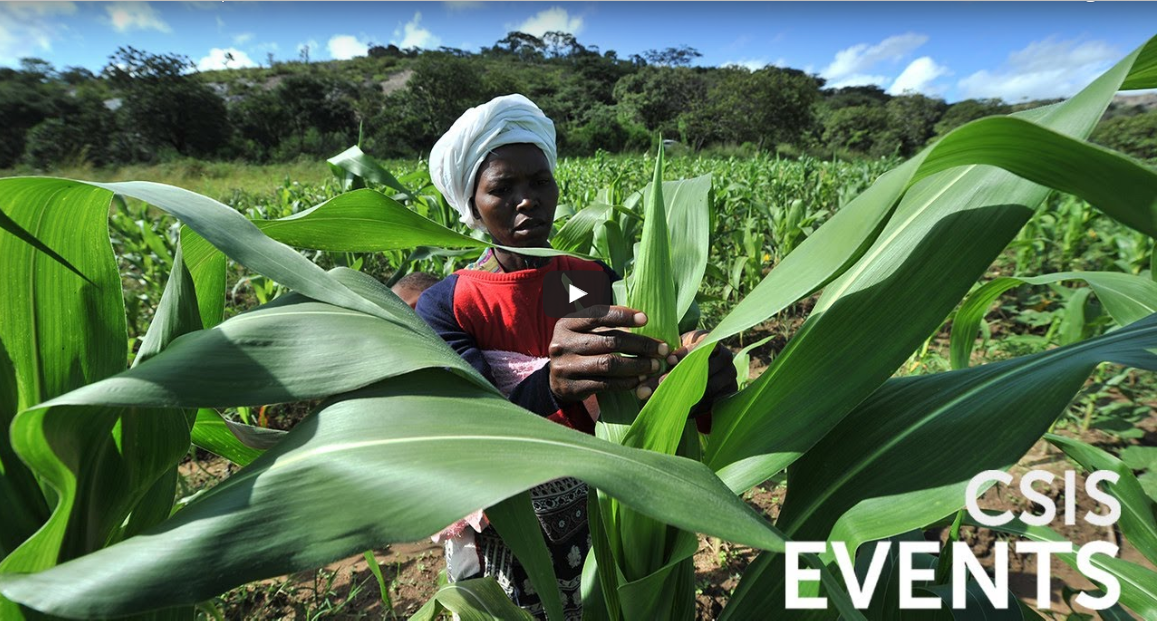 Save the Date: CSIS Hosts HarvestPlus Founder Bouis on Biofortification ...