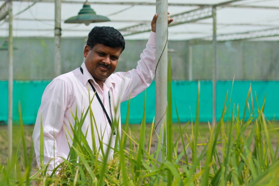 Improving health and nutrition through rice science - HarvestPlus
