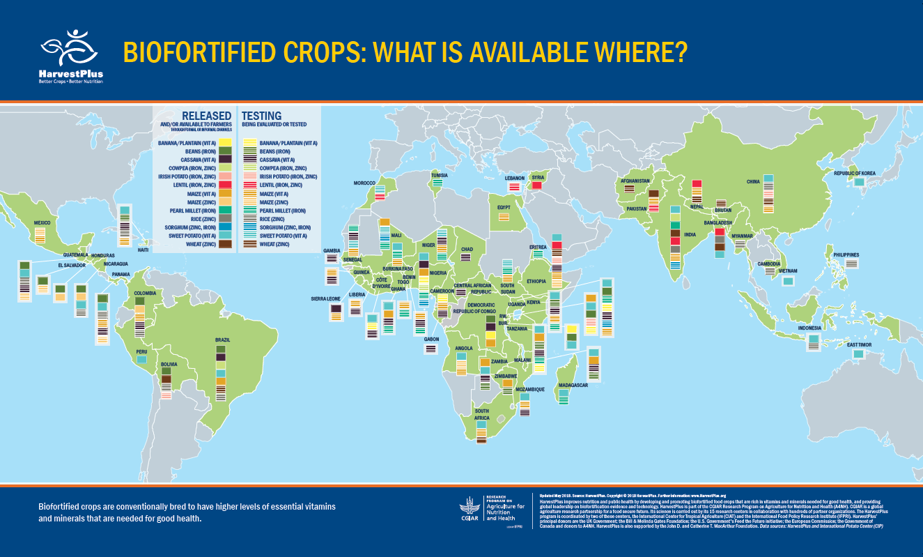 Biofortification’s Growing Global Reach - HarvestPlus