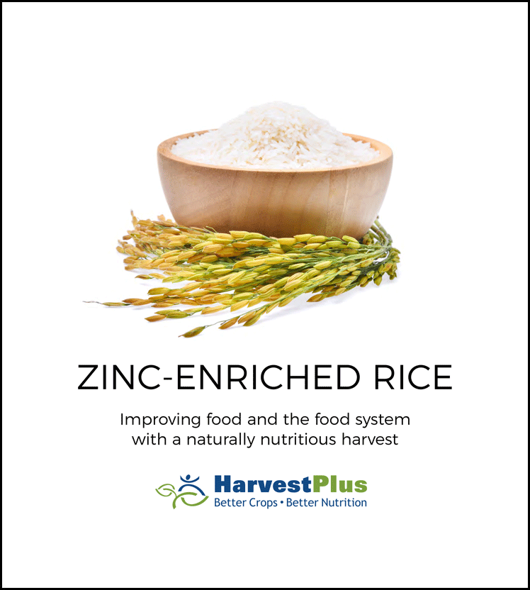 Zinc Rice - HarvestPlus