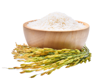 Zinc Rice - HarvestPlus