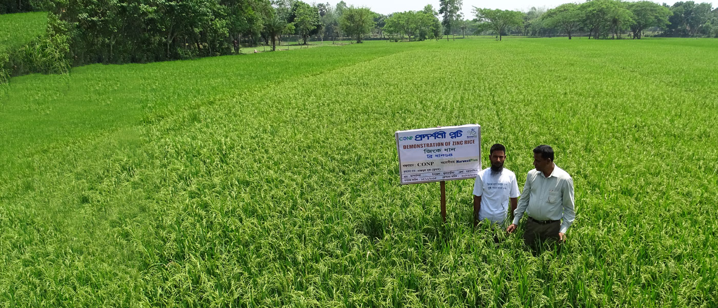 Stay informed - HarvestPlus