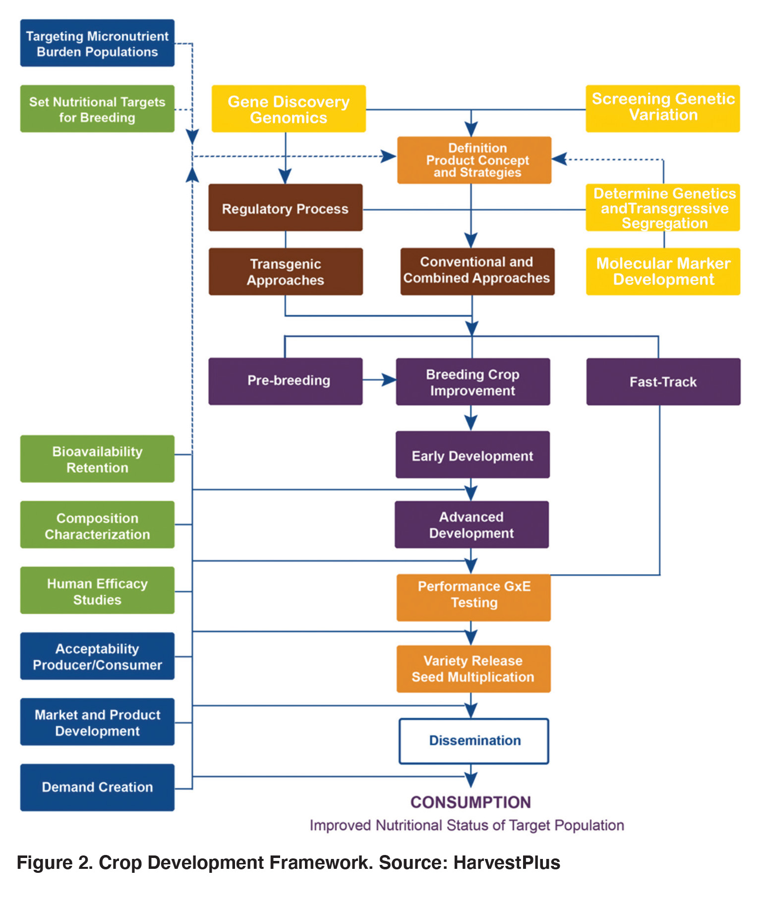 Biofortified Crop Development - HarvestPlus