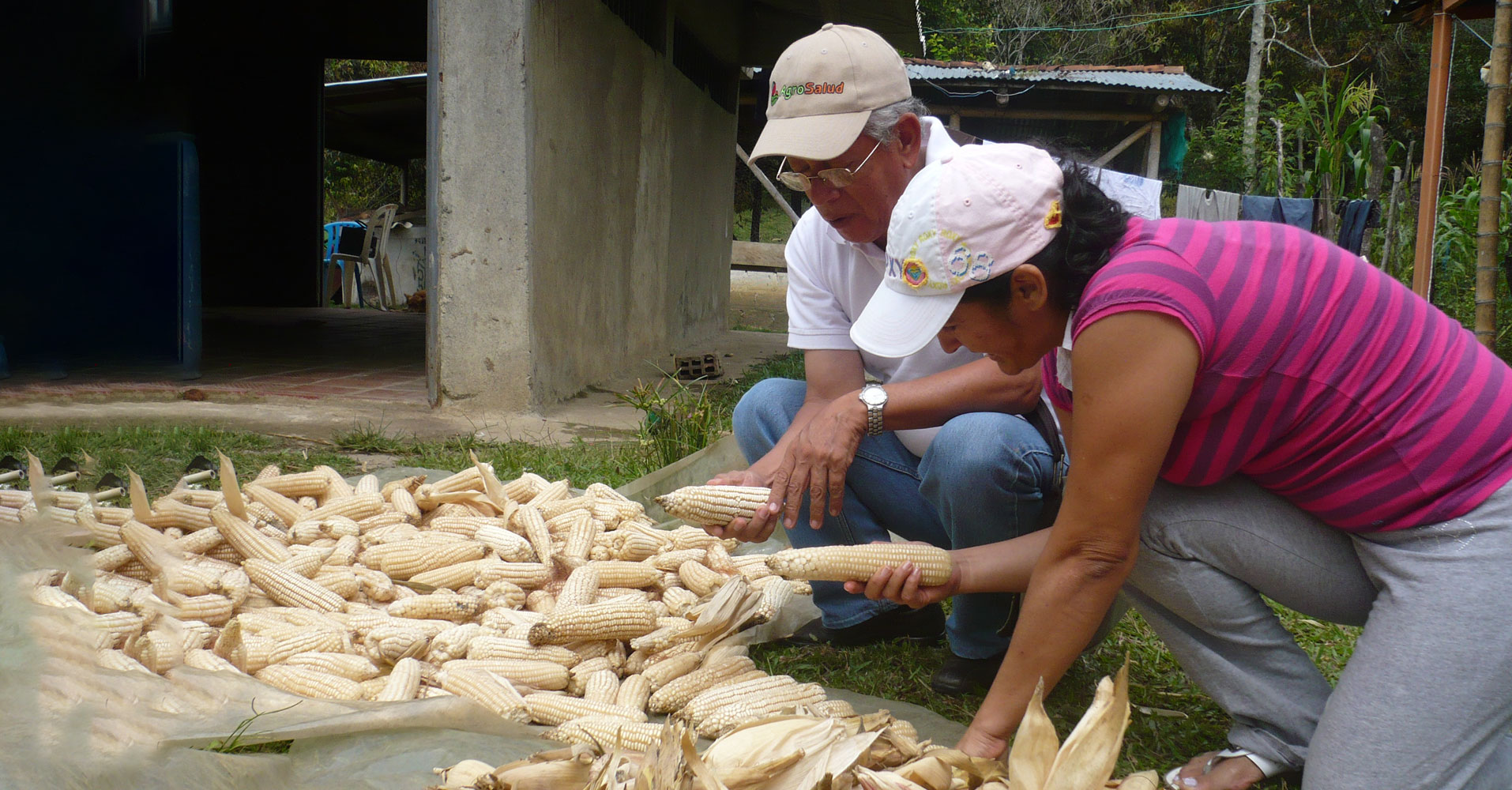 Empowering Farmers - HarvestPlus