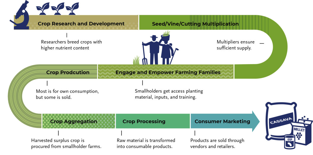 Biofortification:Why and How - HarvestPlus