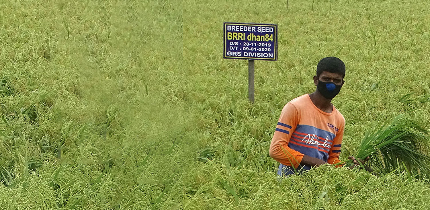 COVID-19 Response - HarvestPlus