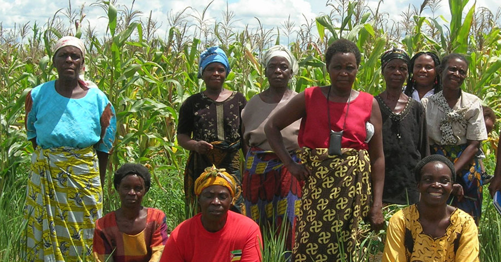 An Integrated Food Systems Approach to Build Nutrition Security ...