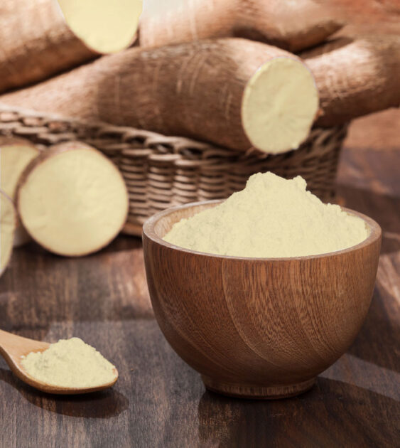 Vitamin A Cassava - HarvestPlus