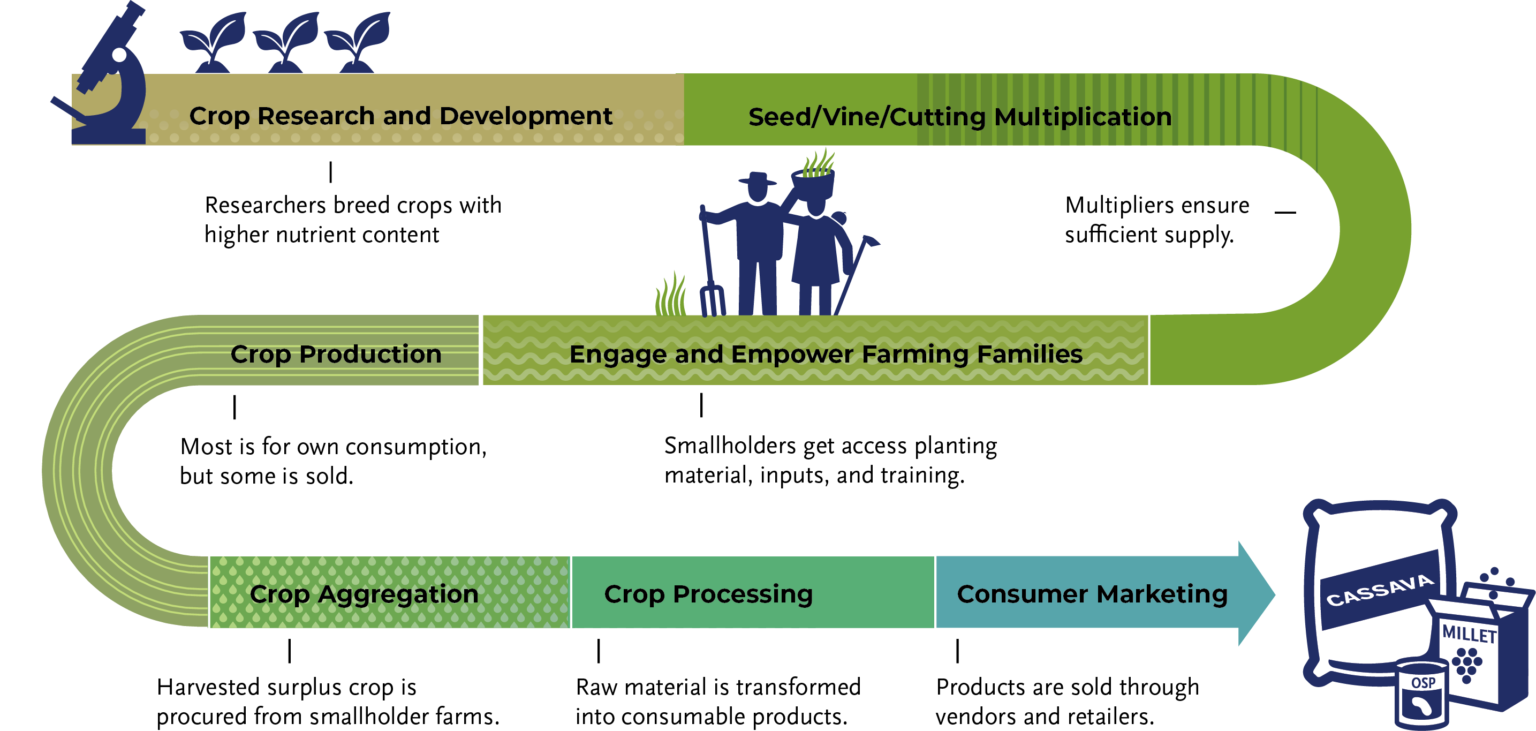 Biofortification:Why and How - HarvestPlus