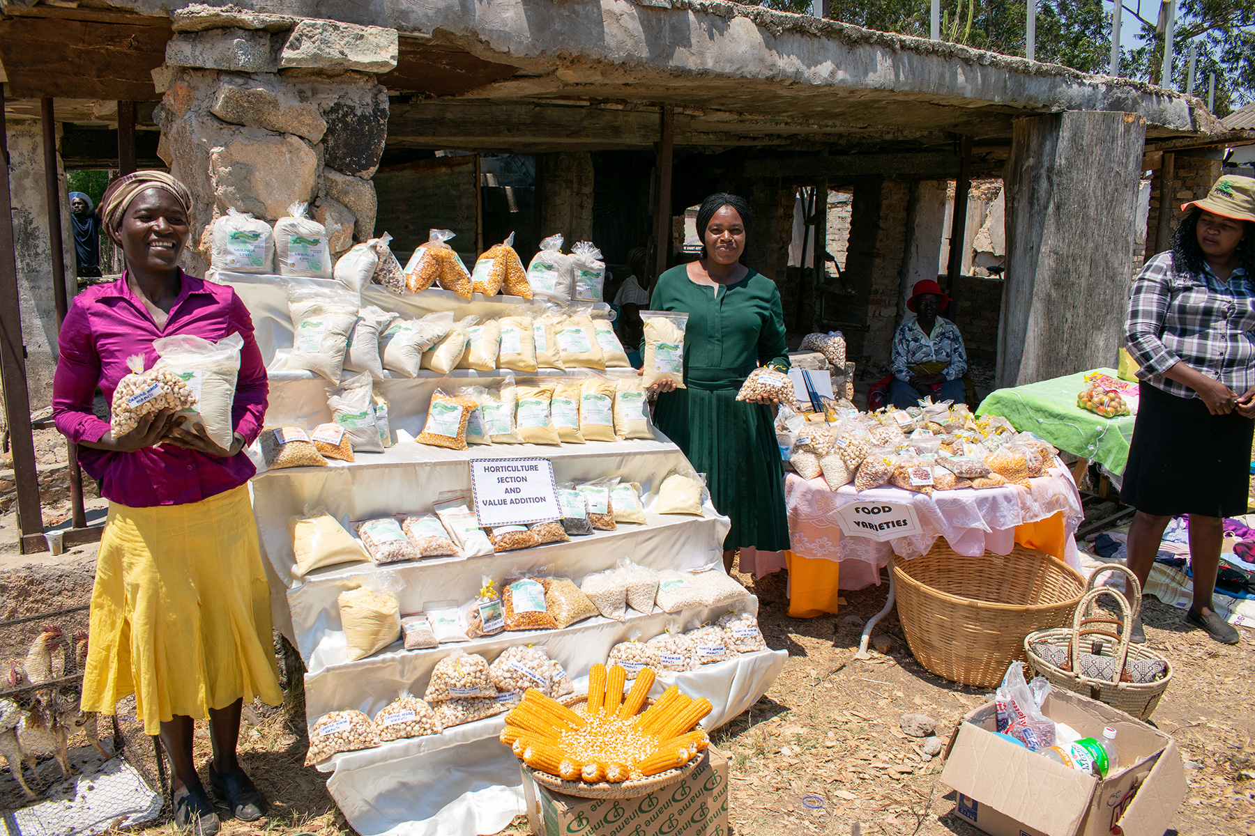 Using Digital Innovation to Bring Nutrition Resilience to Zimbabwe ...