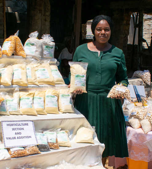 Projects - HarvestPlus