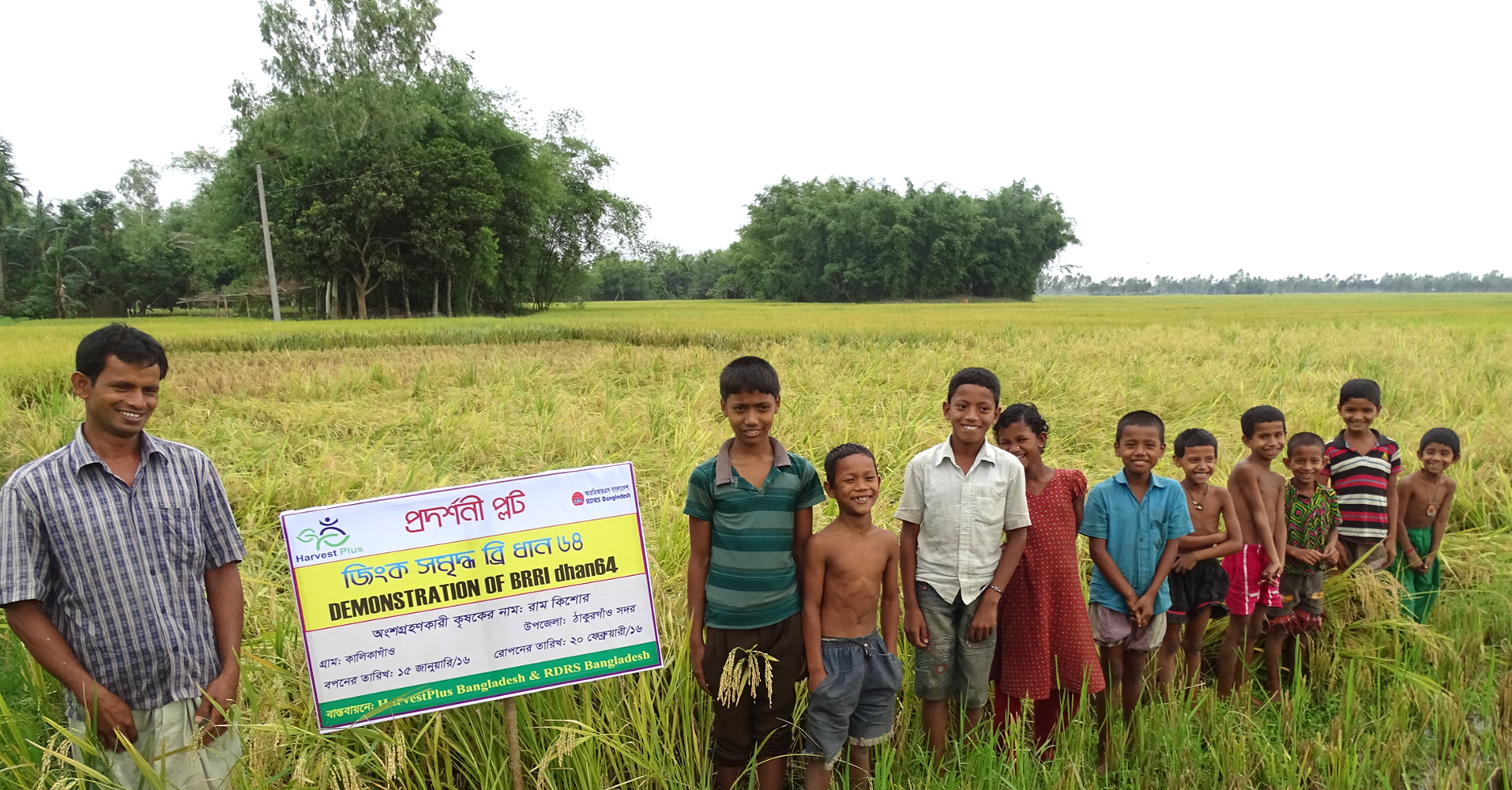 Twenty Years of Enriching Diets with Biofortification - HarvestPlus