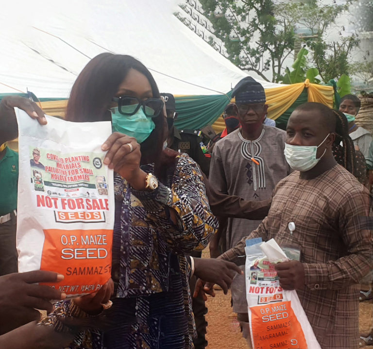 20 Years of Biofortification - HarvestPlus