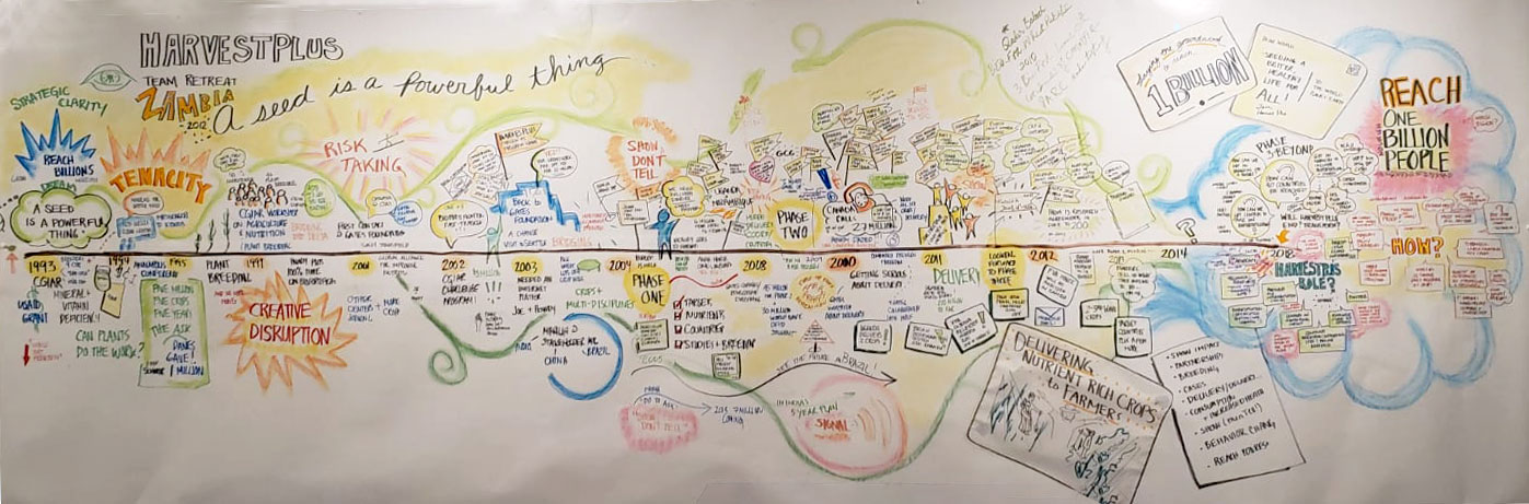20 Years of Biofortification - HarvestPlus