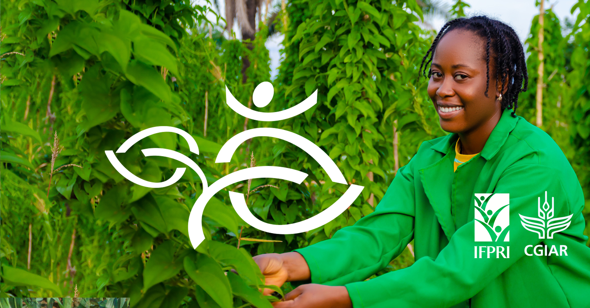 Enriching 100 Million Lives - HarvestPlus